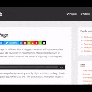 WP Socializer - Fast & simple social media sharing plugin for WordPress