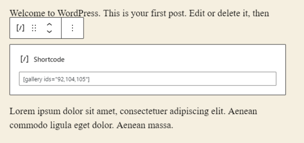 How to Reuse Code Snippets Easily in WordPress